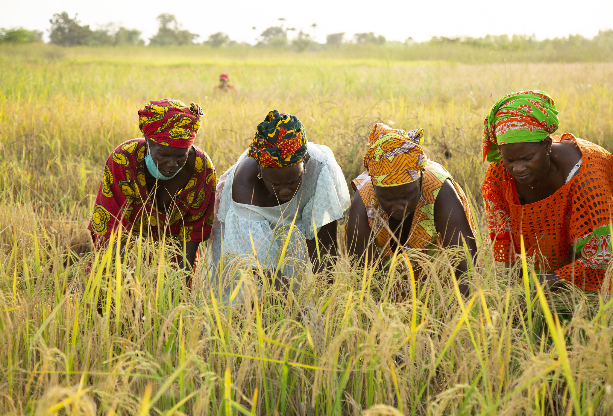 Time-use training workshop: Africa | UN Women Data Hub